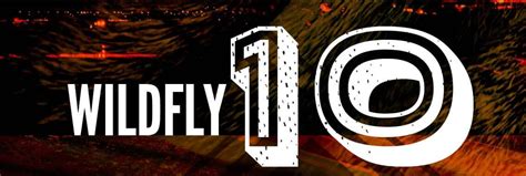 Java开源服务器WildFly 学习软件编程
