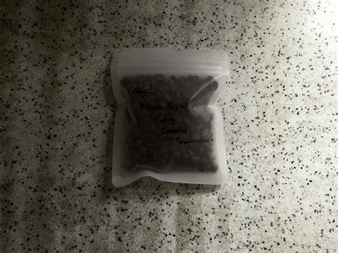 브라질 미나스 제라이스 캄포스 알토스 빅토리아 레지아 1 카투아이 컨트롤 퍼먼테이션내츄럴