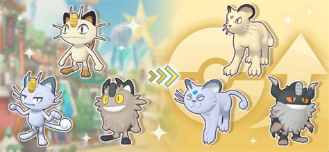 New Event Called “meow Meow Meow ” Where You Can Receive Eggs That