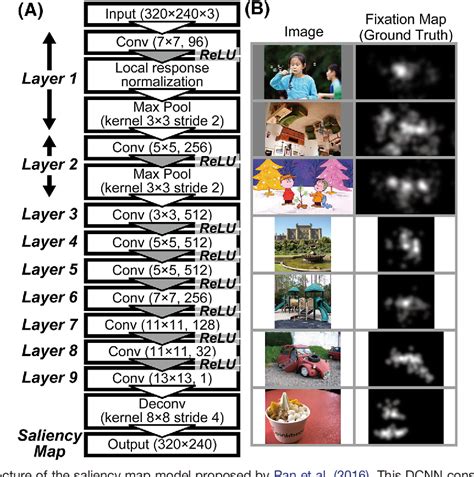 Figure 1 From Correspondence Between Monkey Visual Cortices And Layers