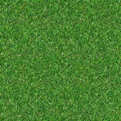 Real Grass Texture