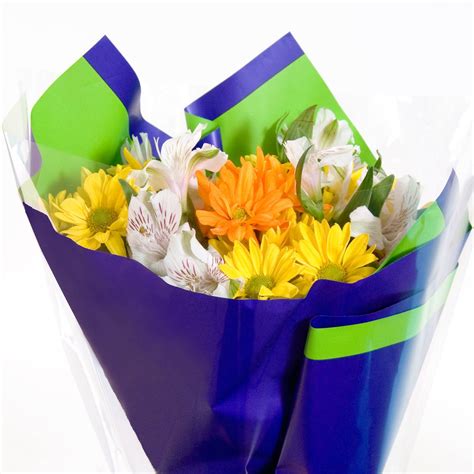 Simplicity Series 2 A Roo Company