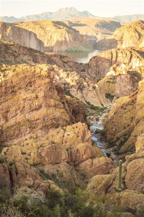 The Naked Desert Photography On Twitter Scenes From My Desert