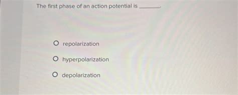 The First Phase Of An Action Potential Is Repolarization Hyperpolarization Depolarization