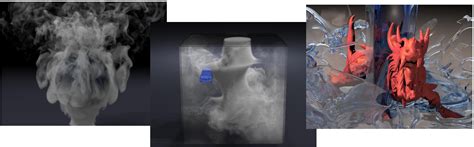 Research Projects Of Eftychios Sifakis