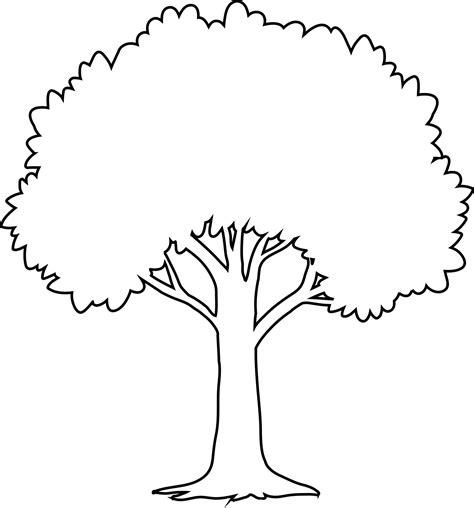 The Outline Of The Tree Is Black Vector Art At Vecteezy