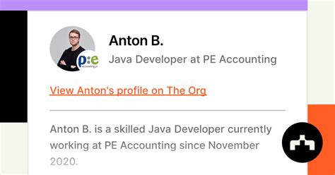 Anton B Java Developer At Pe Accounting The Org