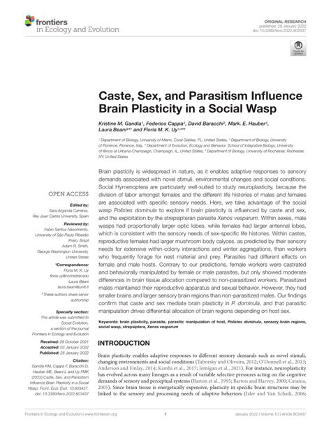 Pdf Caste Sex And Parasitism Influence Brain Plasticity In A Social