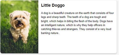 A Complete Guide To CSS Container Queries Java Code Geeks 2023