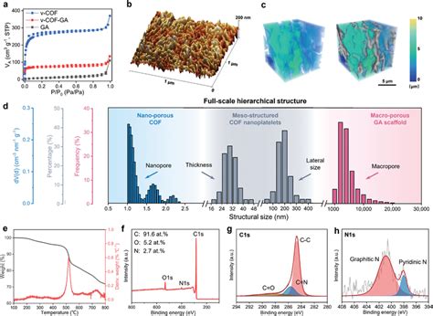 Hierarchical Pore Structures And Atomic Component Of V‐cof‐ga A Download Scientific Diagram