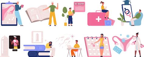 Male Reproductive System With Parts Vector Images Over 250