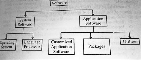 Types Of Computer Software