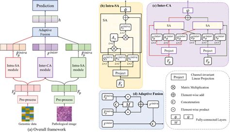 Multi Modal Fusion Network With Intra And Inter Modality Attention For Prognosis Prediction In