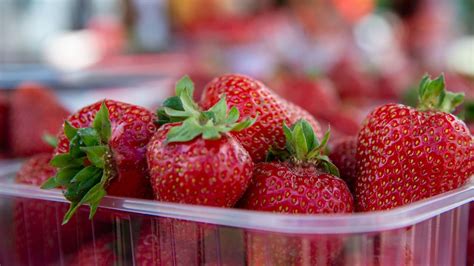 Utálja A Sok Esőt Az Eper A Cseresznye