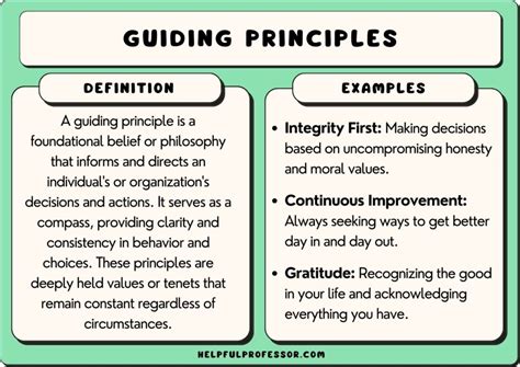 100 Guiding Principles Examples 2025