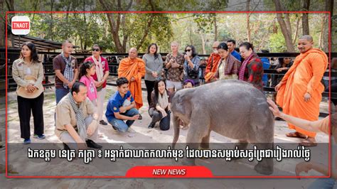 ឯកឧត្តម នេត្រ ភក្ត្រា បន្តអំពាវនាវដល់សាធារណជនចូលរួមទប់ស្កាត់អន្ទាក់ ដើម្បីសុវត្ថិភាពមនុស្ស សត្វព្រៃ