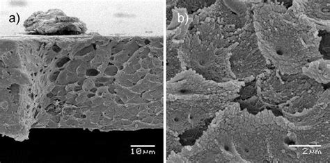 Sem Of The Sample Fracture Surface A Low Magnification B High