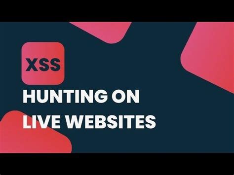Ibrahim Husić On Linkedin Live Bug Bounty Hunting With Xss0r Finding Xss Vulnerabilities In…