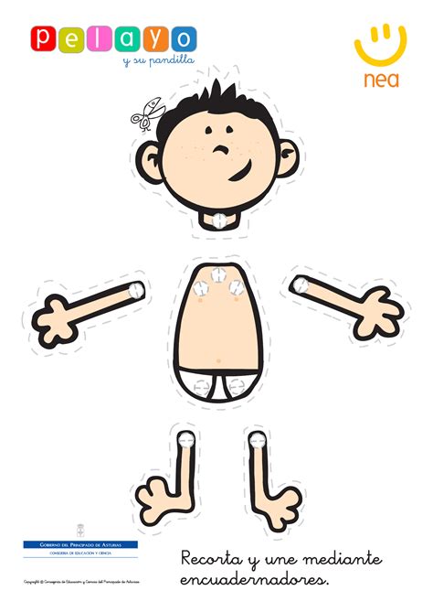 Partes Del Cuerpo Para Armar Preescolar Partes Del Cuerpo Eroppa