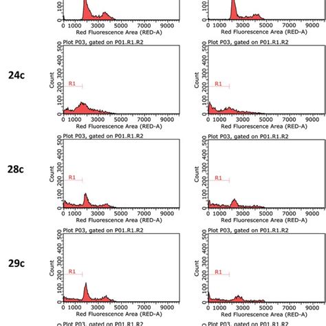Cell Cycle Analysis Of Thp 1 Cells After Incubation With Compounds 24c Download Scientific