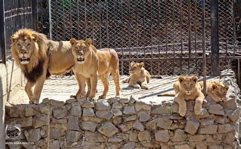24 March 2014 თბილისის ზოოპარკი