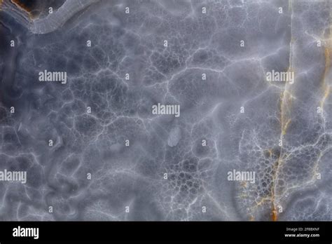 Excellent Onyx Texture In New Grey Color For Your Interior Stock Photo Alamy