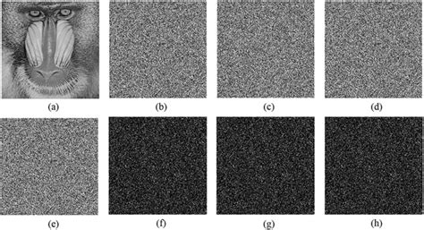 key sensitivity analysis in the encryption process a baboon b