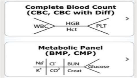 Dmg Bmp And Abgs Flashcards Quizlet