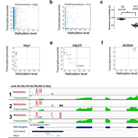 Dna Methylome Analysis Of Single Drg Neuronal Nucleus A Boxplots