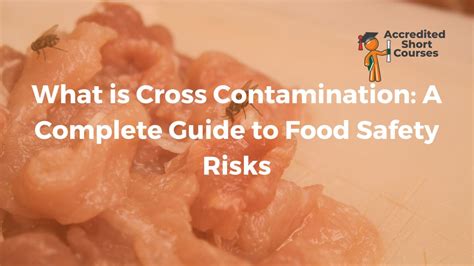 What Is Cross Contamination A Complete Guide To Food Safety Risks