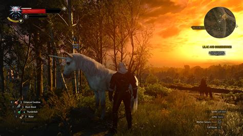 So Roach Turned Into A Unicorn In New Game How Do I Fix This R Witcher