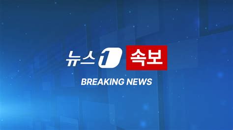 속보 역주행 운전자 아직 급발진했다 경찰에 진술 안 해 네이트 뉴스