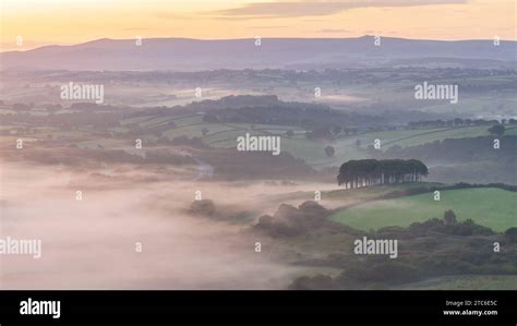 Misty Sunrise Near Cookworthy Knapp Also Known As The Nearly Home Trees Near Lifton In Devon