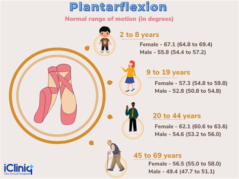 Plantar Reflex Definition At Genevieve Tarrant Blog