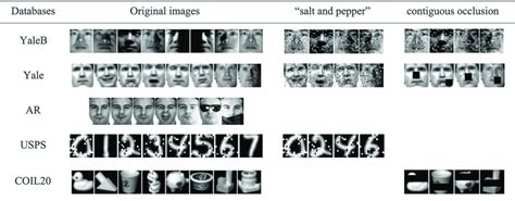 Example Images From The Five Databases And Their Noisy Versions Download Scientific Diagram