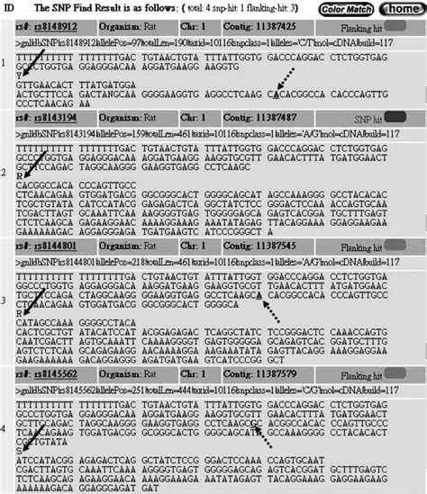 Sequence Output Of Snp Id Info Software Representative Results Of Download Scientific Diagram