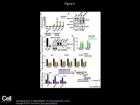 Volume 13 Issue 11 Pages December 2015 Ppt Download