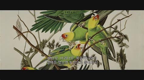새를 사랑한 화가 환경에 관심있다면 꼭 봐야할 추천영화
