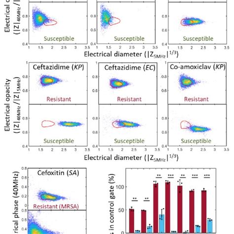 Enterococcus Faecalis Appear Under Microscope As Gram Positive Small Download Scientific