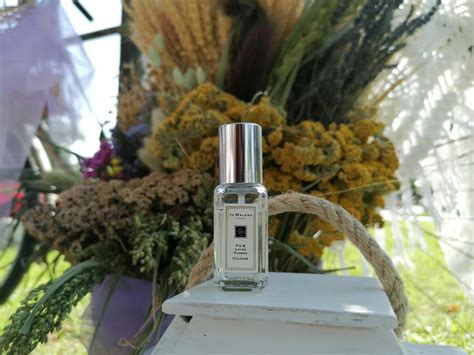 Fig And Lotus Flower Jo Malone London Perfume A Fragrance For Women And