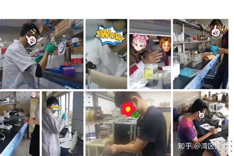 湾区博士｜课题研究项目与学术背景提升 知乎