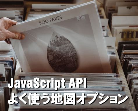 JavaScript API でよく使う地図オプション マルティスープStaffブログ