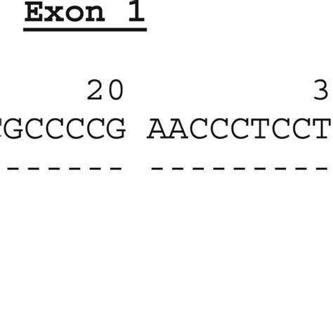 alignment of the sequence of exon 3 of hla‐c 01 02 01 01 with the