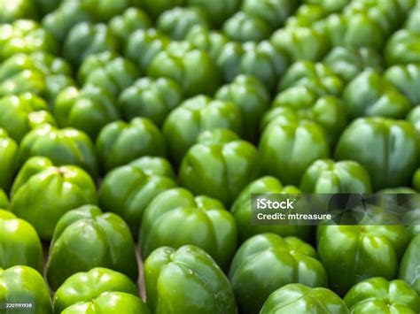 빽빽하게 들어찬 녹색 피망이 줄지어 있는 야채 디스플레이의 전체 프레임 이미지 3엽 4엽 베이스의 높은 전망 전경에 초점 건강한 식생활 개념 0명에 대한 스톡 사진 및 기타