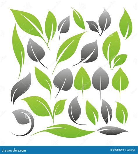 Set Of Leaf Design Elements Stock Vector Illustration Of Green