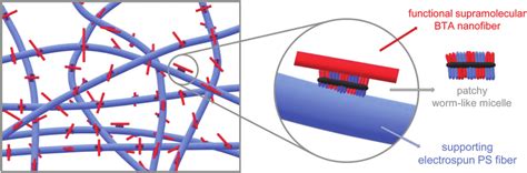 Schematic Representation Of A Section Of The Hierarchically