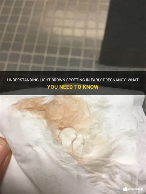 Understanding Light Brown Spotting In Early Pregnancy What You Need To