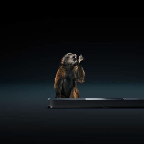 Sonova Group Posted On Linkedin