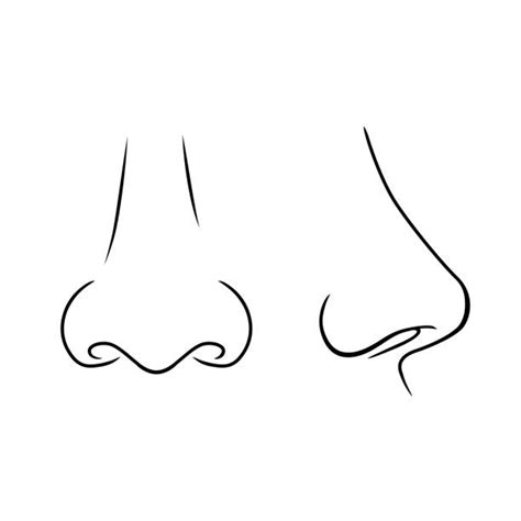 96400 Hidung Ilustrasi Grafik Vektor And Clip Art Bebas Royalti Terbaik Istock