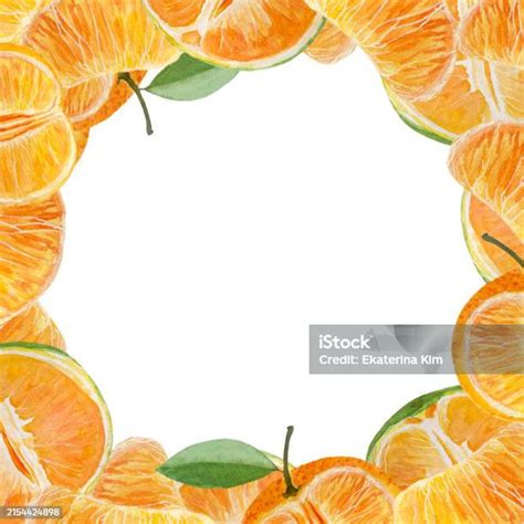 오렌지 과일 귤 슬라이스 수채화 프레임 절연 백색 음식 디자인 포장 대중음식점 메뉴 카드 포스터 자연적인 유기 음식 광고 상표